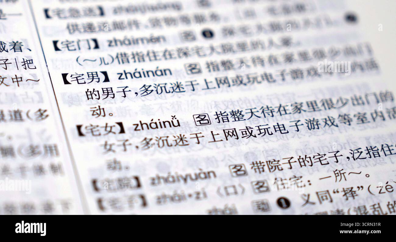 A photo shows the words "zainan" and "zainu" (geek) listed in the ...