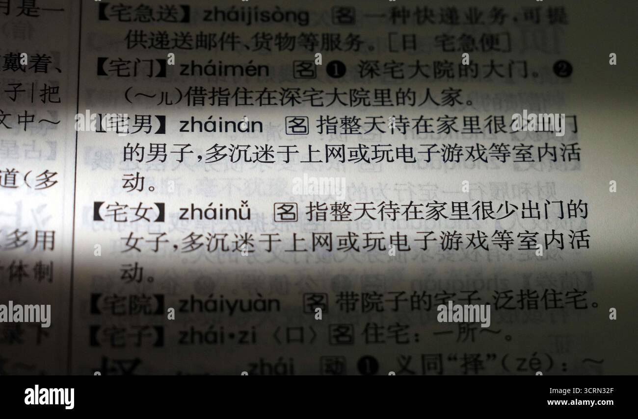 A photo shows the words "zainan" and "zainu" (geek) listed in the ...