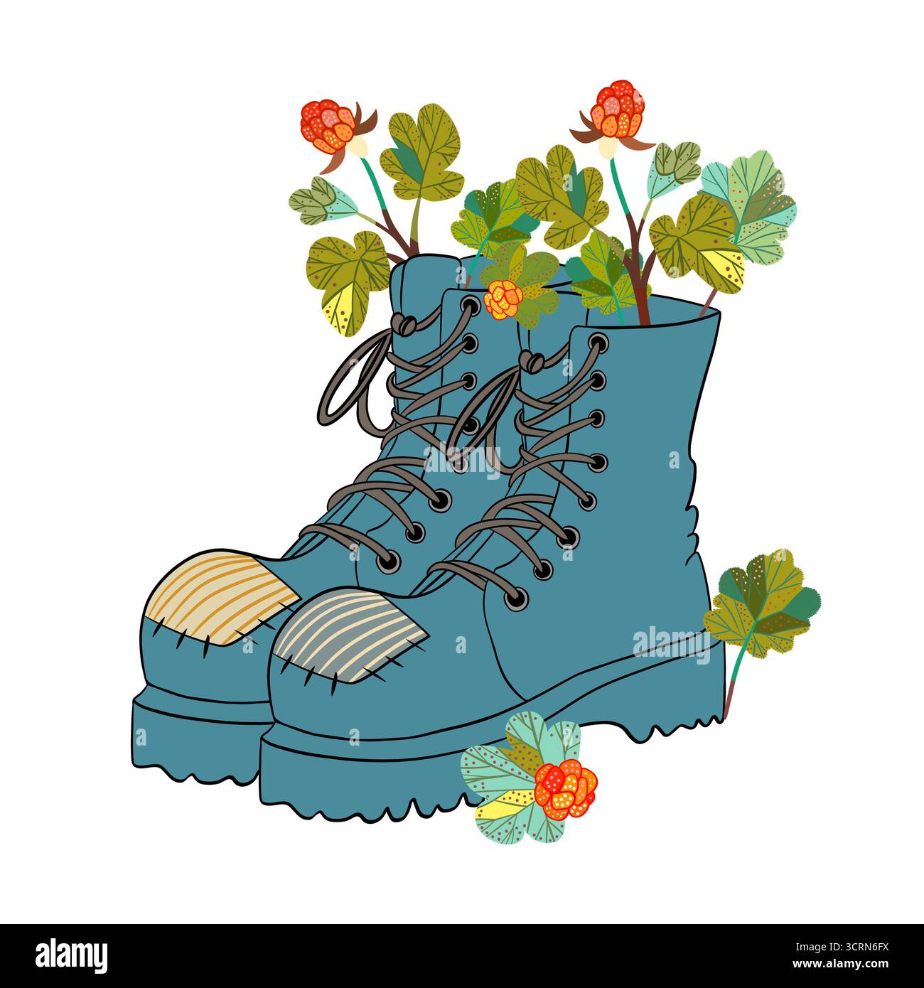 Lost forest Cut Out Stock Images & Pictures - Alamy