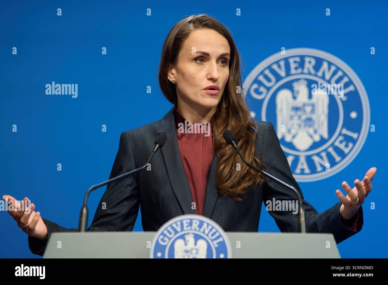 Romanian Minister of Foreign Affairs Toiu Holds Press Briefing ...