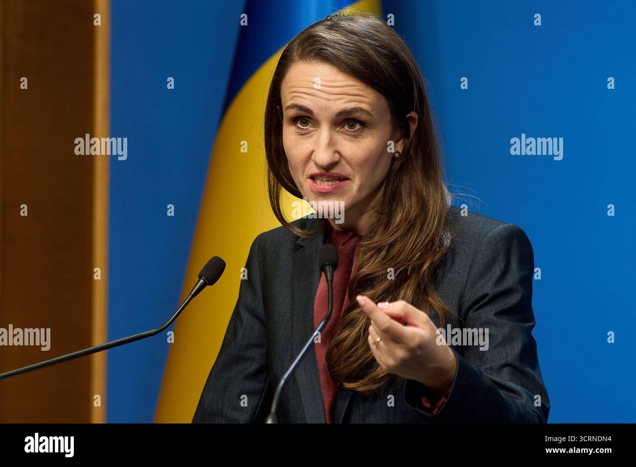 Romanian Minister of Foreign Affairs Toiu Holds Press Briefing ...