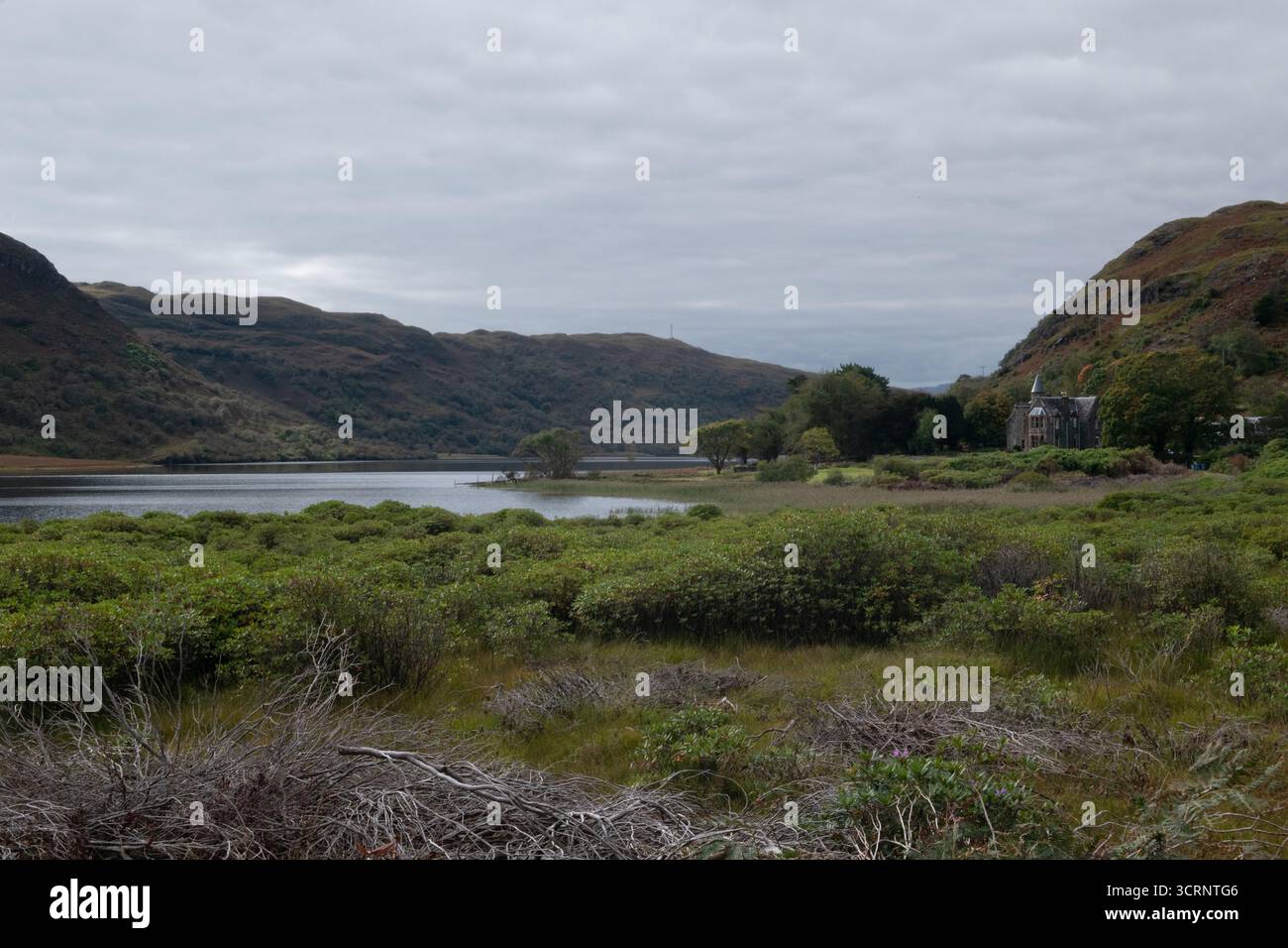Loch Uisg, Isle of Mull, Scotland Stock Photo - Alamy