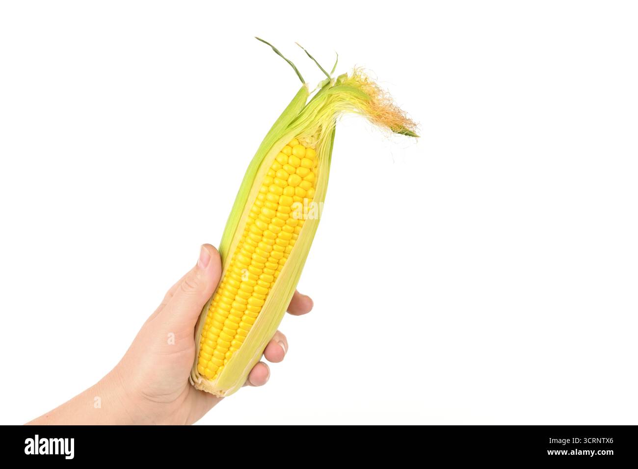 Farmer holding raw corn Cut Out Stock Images & Pictures - Alamy