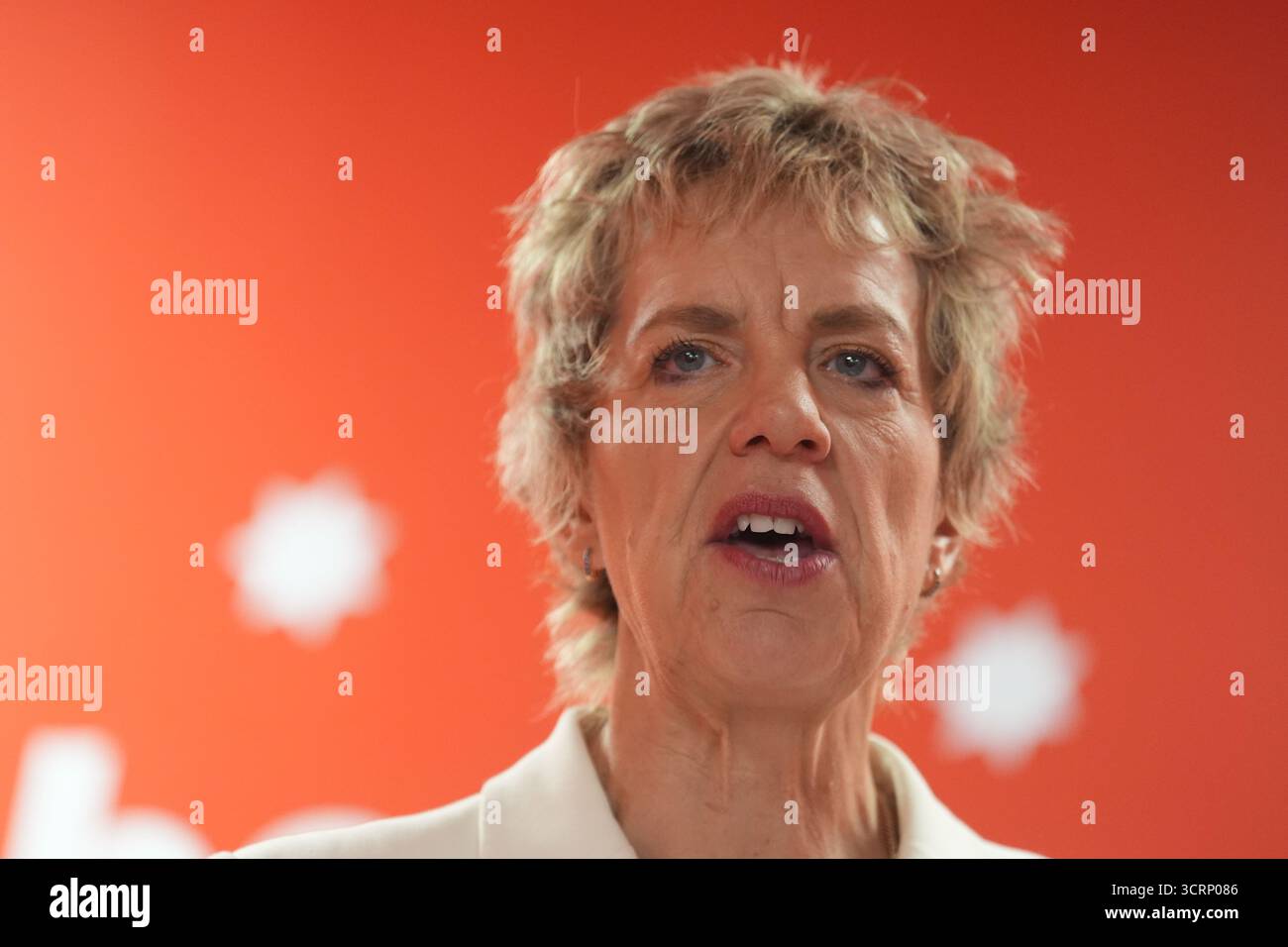 Labour leader Ivana Bacik at the launch of the Labour Alternative ...