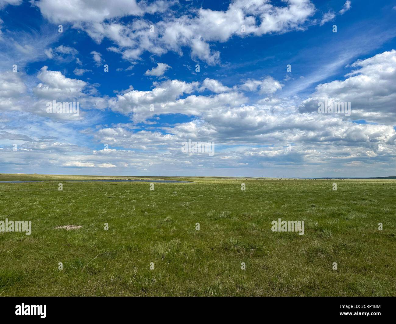 Open natural grassland under hi-res stock photography and images - Alamy