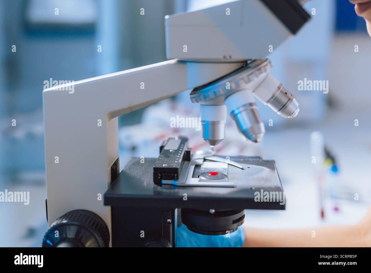 Female laboratory technician pipetting blood sample on the slide ...