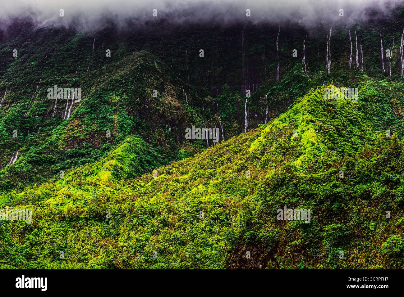 Inside an extinct Tahitian Volcano Stock Photo - Alamy