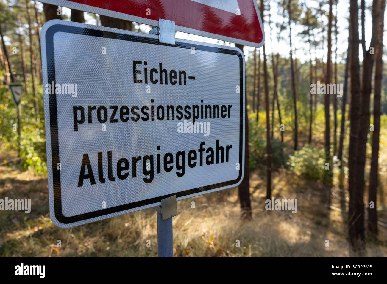 Eichen-Prozessionsspinner 02102025 - Hinweisschild zum Eichen ...