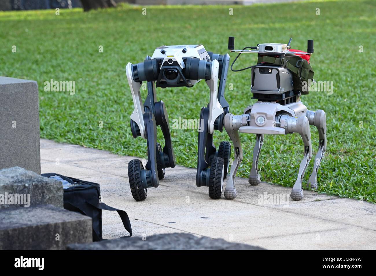 The robot dogs take the medicine box in shopping mall on October 2 ...