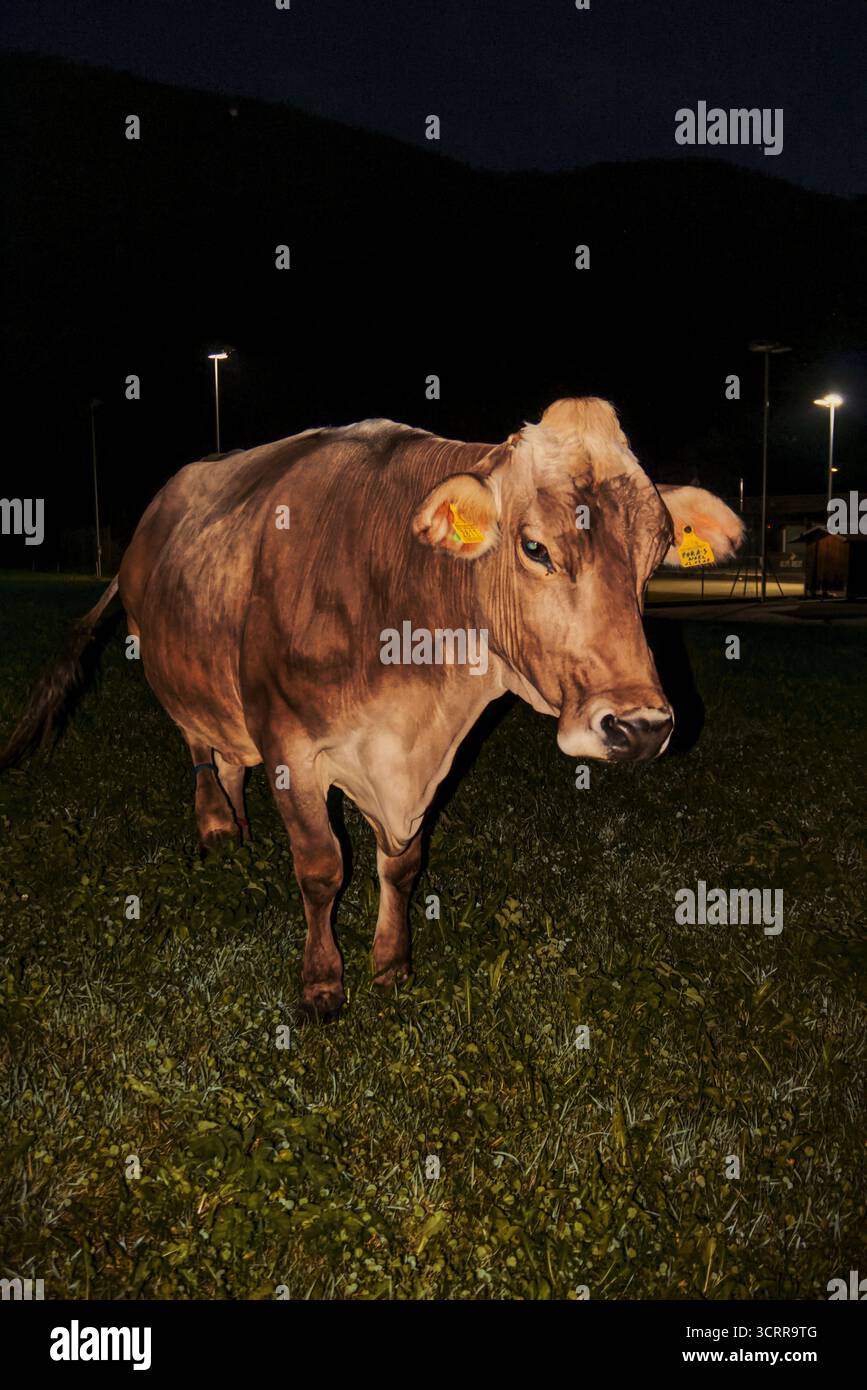 Barn field night germany hi-res stock photography and images - Alamy