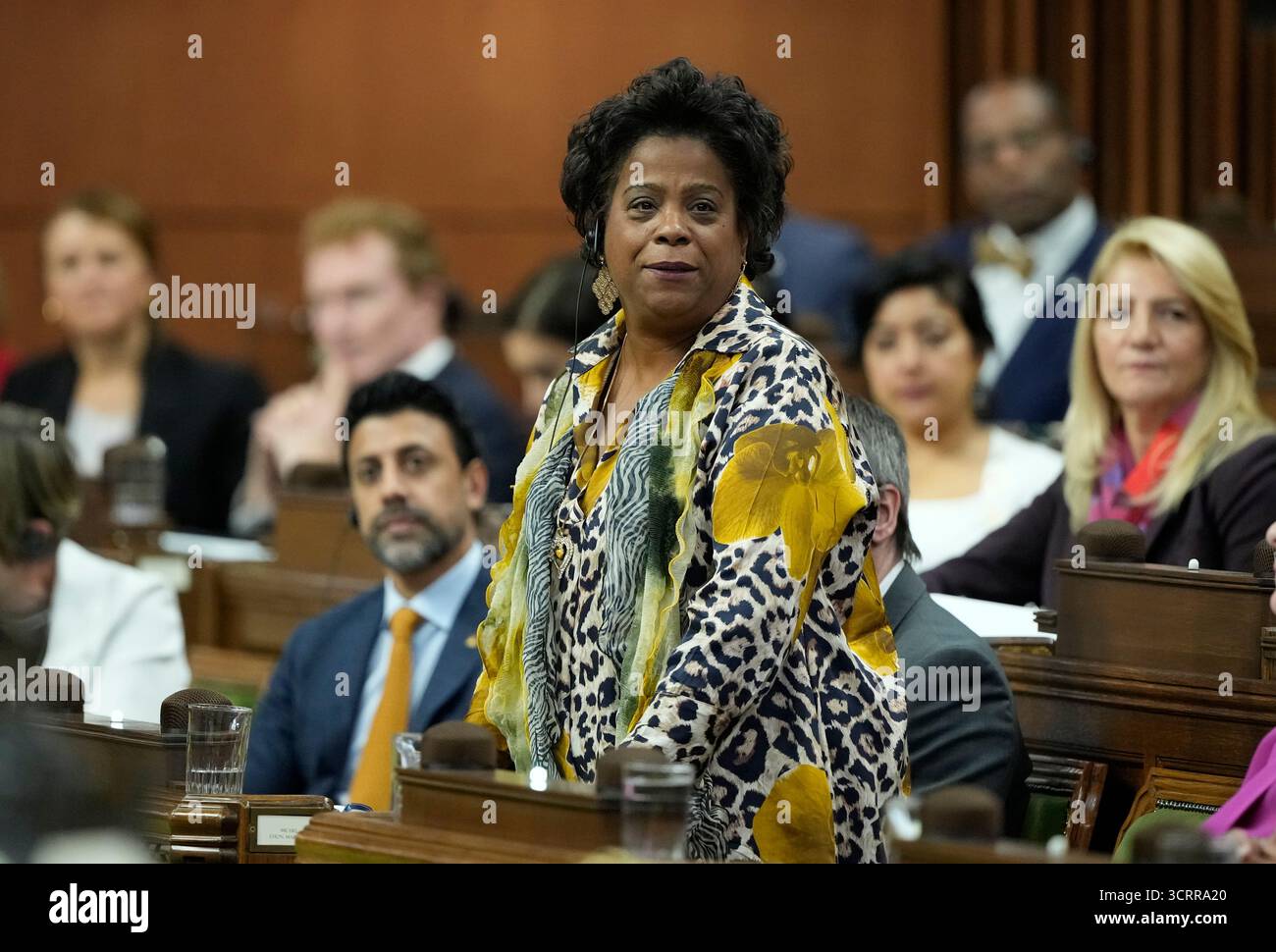 Health Minister Marjorie Michel rises during Question Period on ...