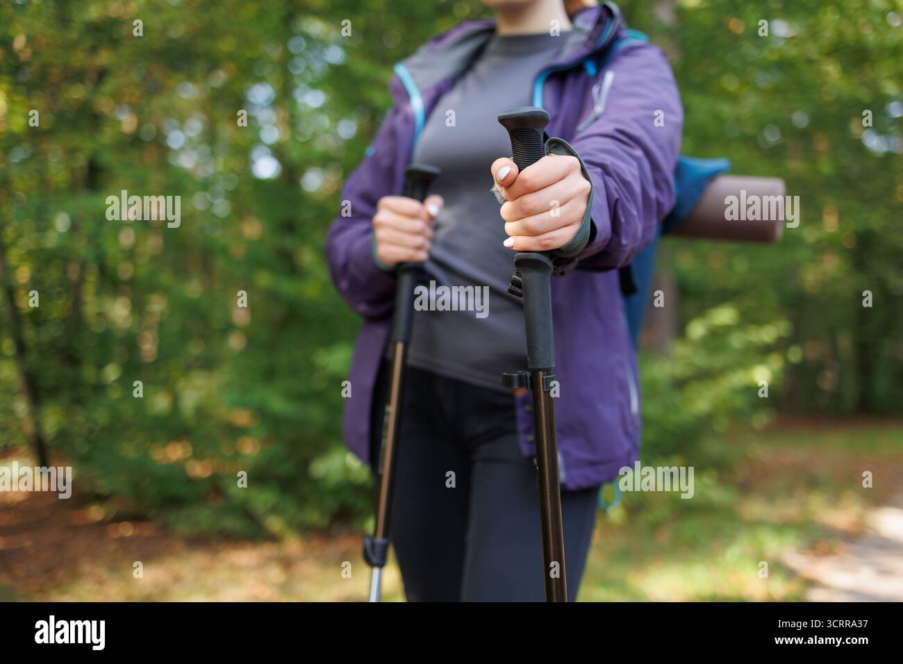 Close-up of woman’s hand holding trekking pole during forest hike Stock ...