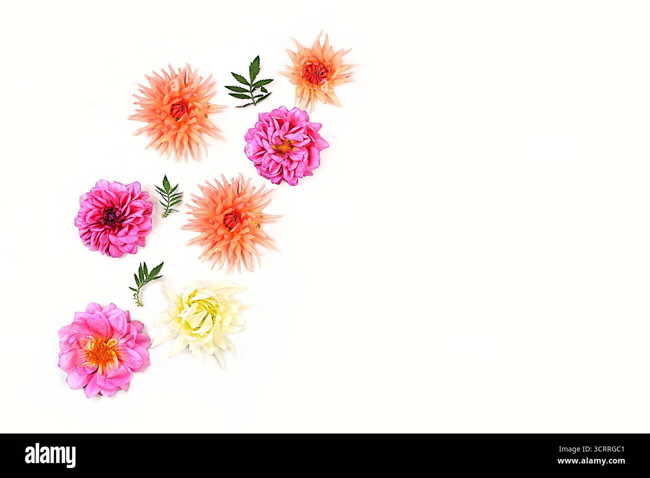 Autumn floral arrangement Cut Out Stock Images & Pictures - Alamy