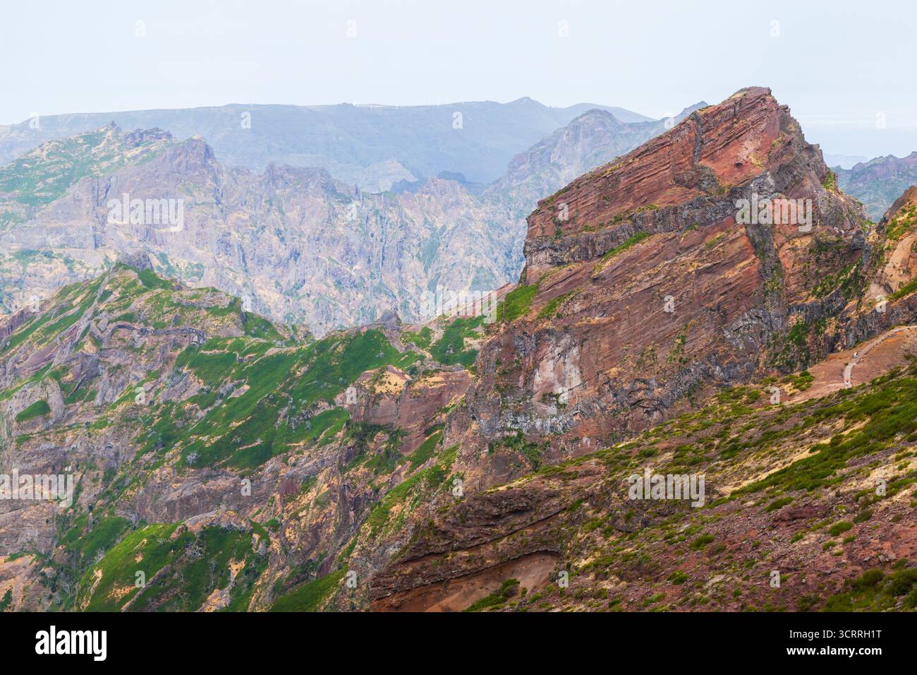 Beautiful view green slopes madeira hi-res stock photography and images ...