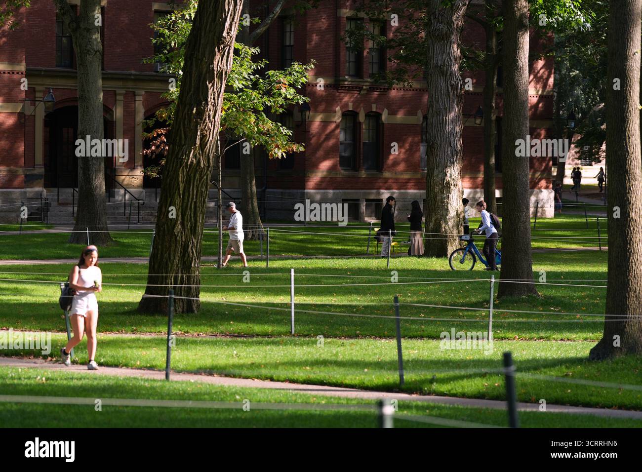 Harvard Yard at Harvard University, Tuesday, Sept. 30, 2025, in ...