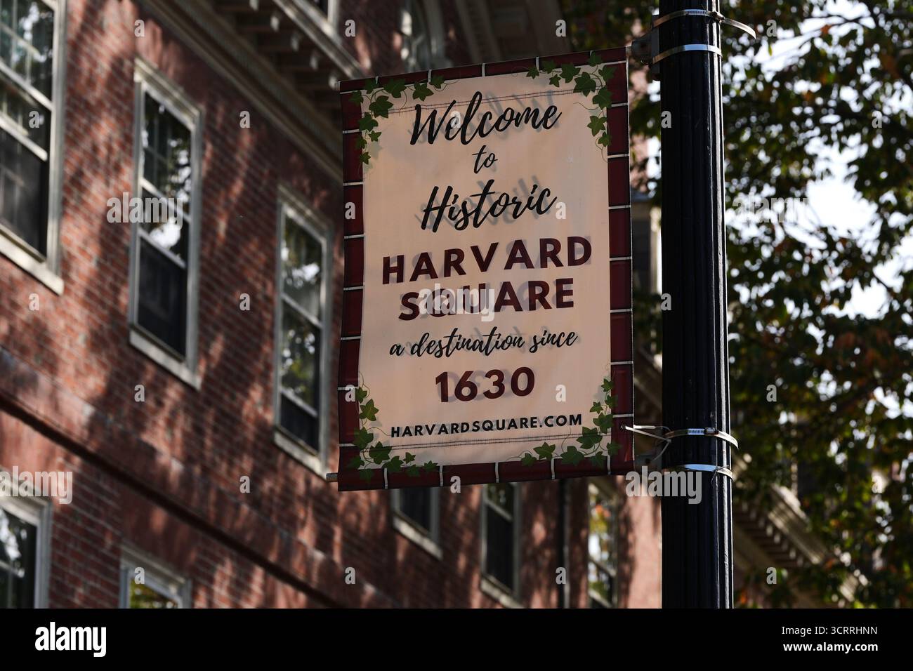 Harvard Square sign, Tuesday, Sept. 30, 2025, in Cambridge, Mass. (AP ...