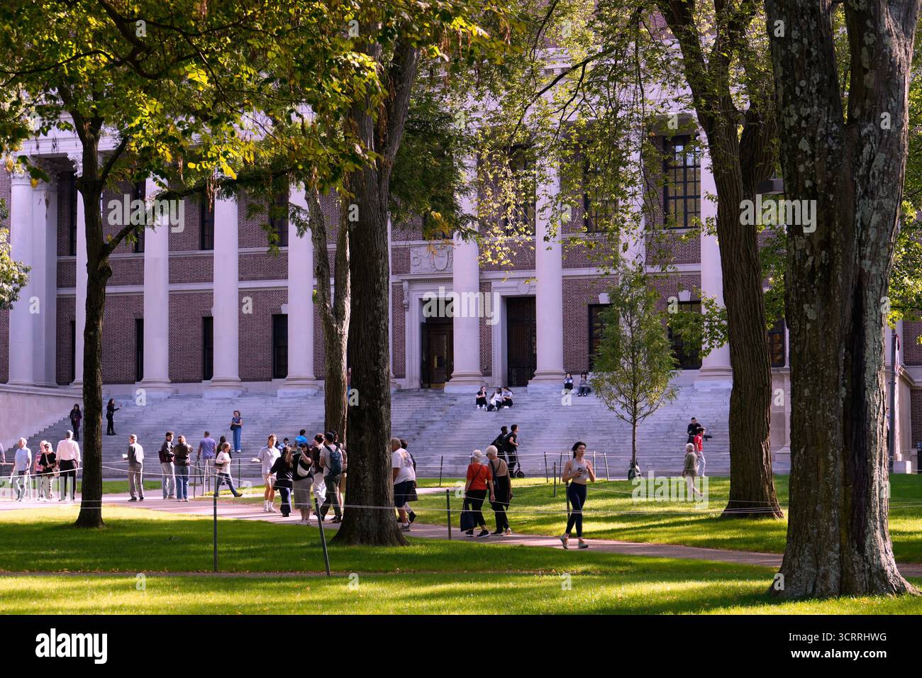 The Widener Library at Harvard University, Tuesday, Sept. 30, 2025, in ...