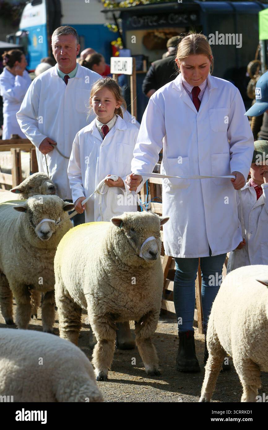 40th Masham Sheep Fair 2025, North Yorkshire, England, UK Stock Photo ...