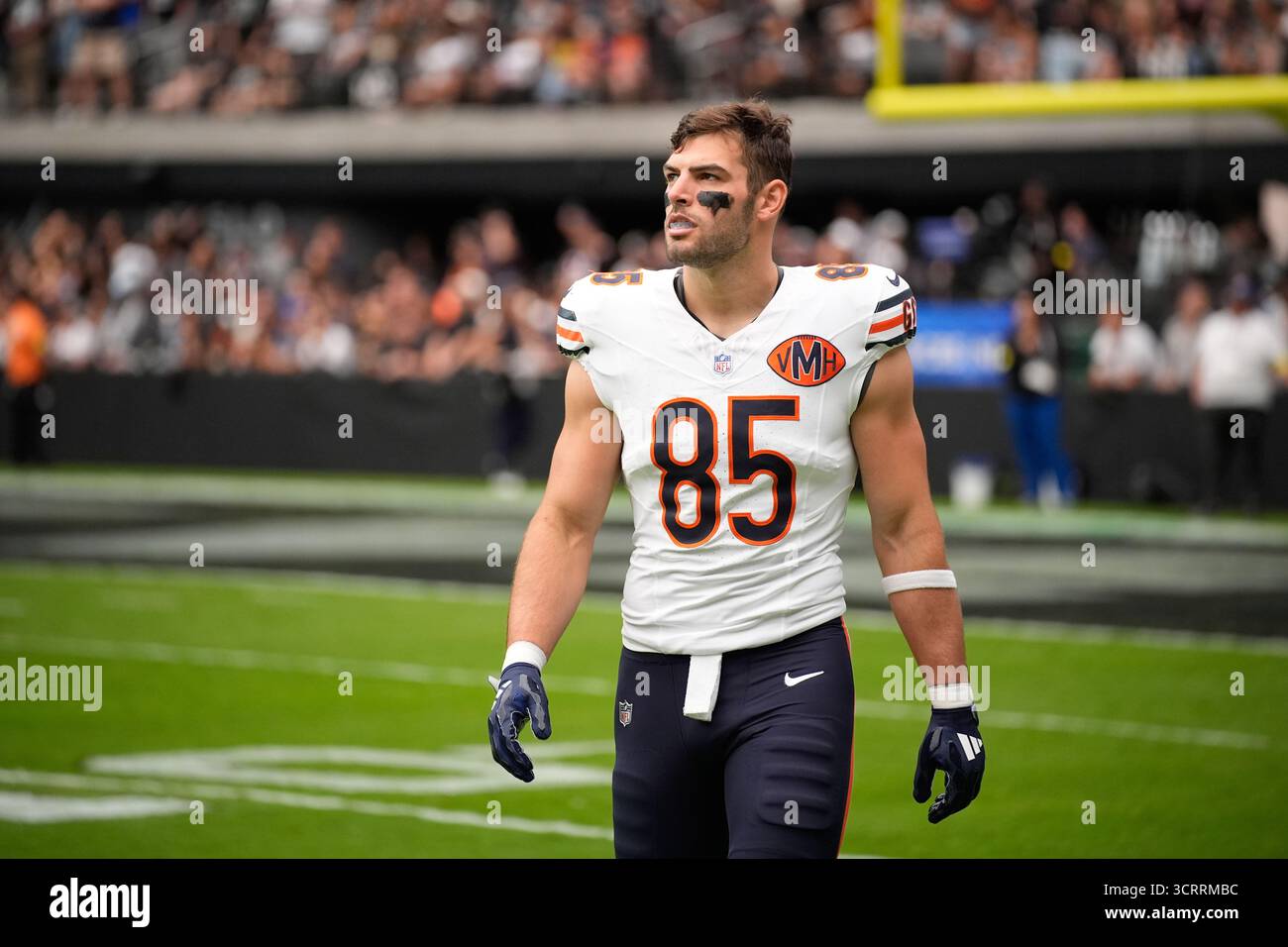 Chicago Bears tight end Cole Kmet (85) before an NFL football game ...