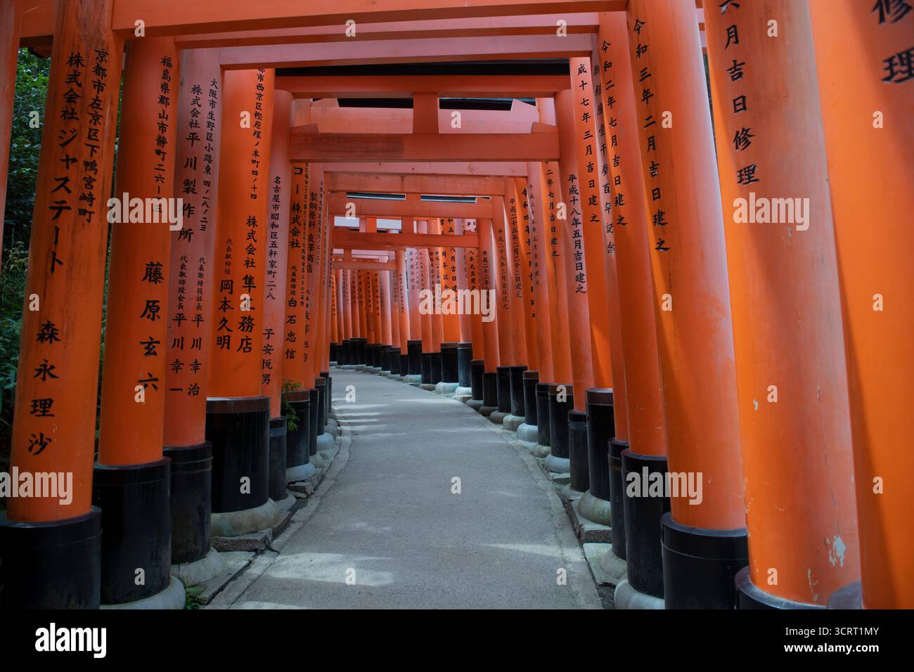 Traditional japanese shrine entry hi-res stock photography and images ...