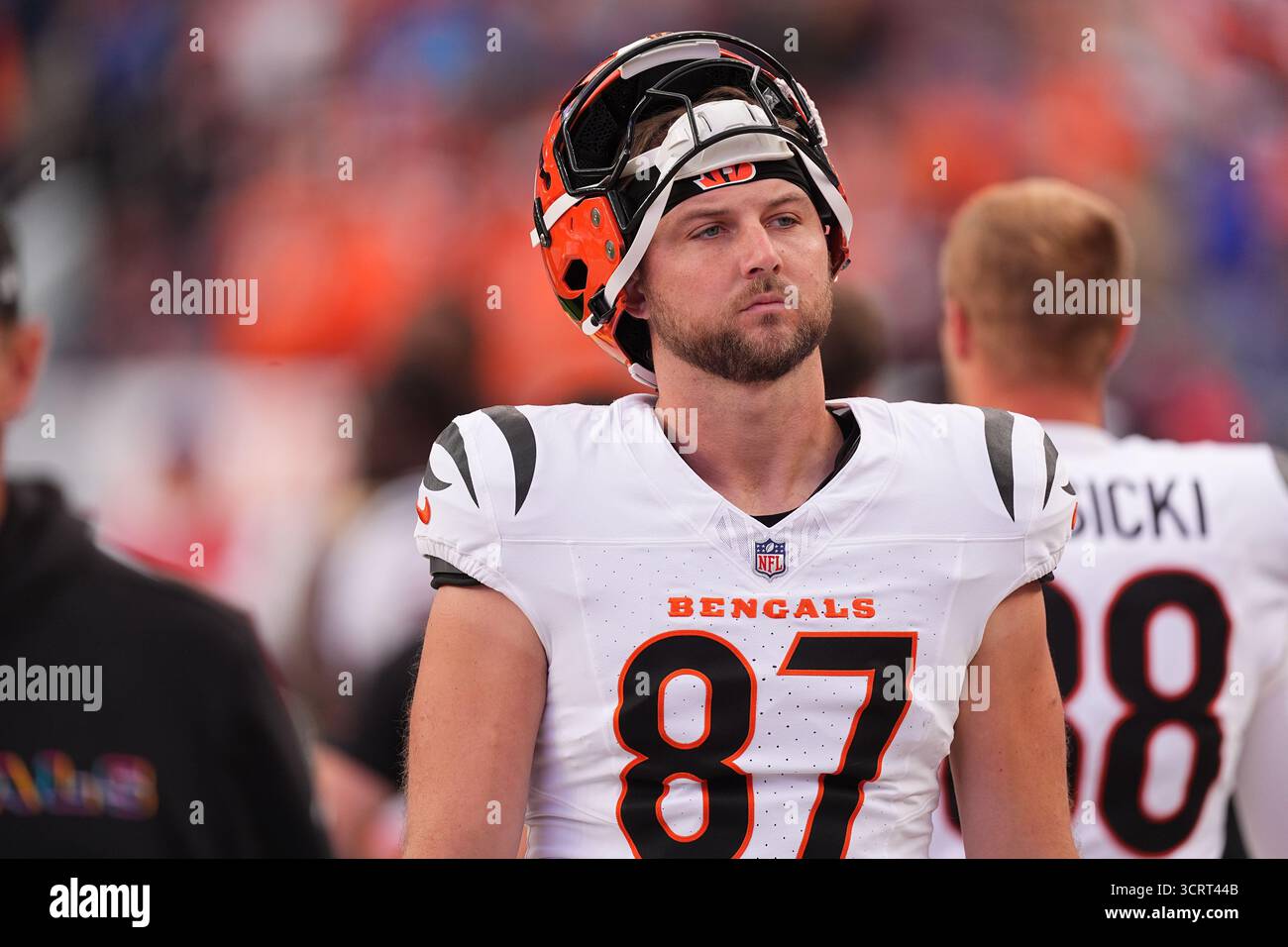 Cincinnati Bengals tight end Tanner Hudson (87) in the first half of an ...