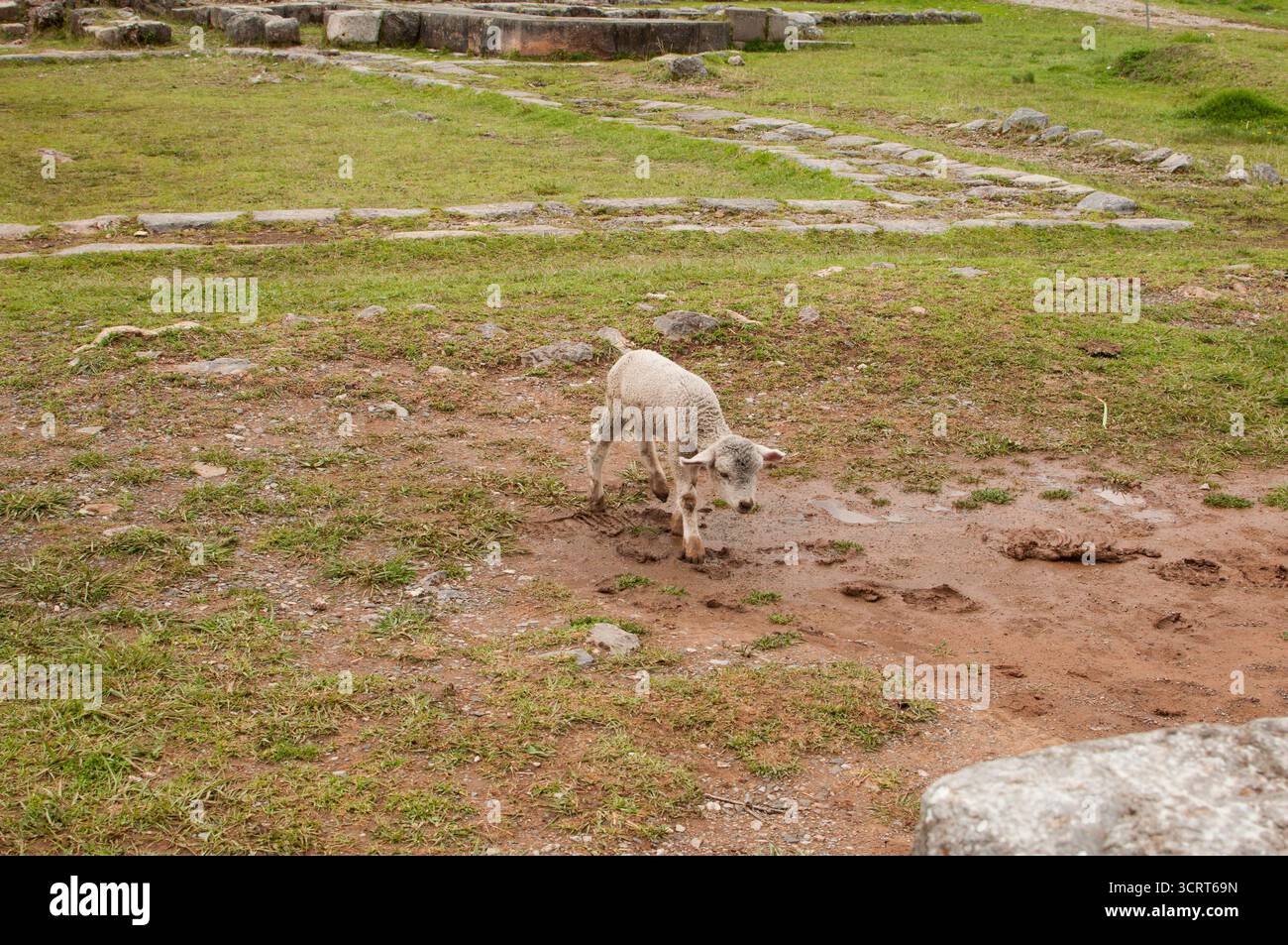 Aventura peruana hi-res stock photography and images - Alamy