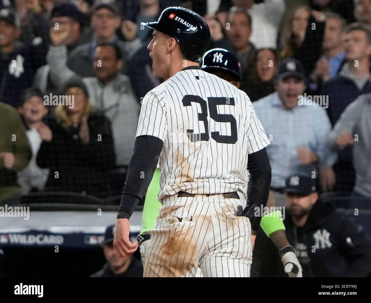 New York Yankees Cody Bellinger (35) reacts after scoring on a single ...