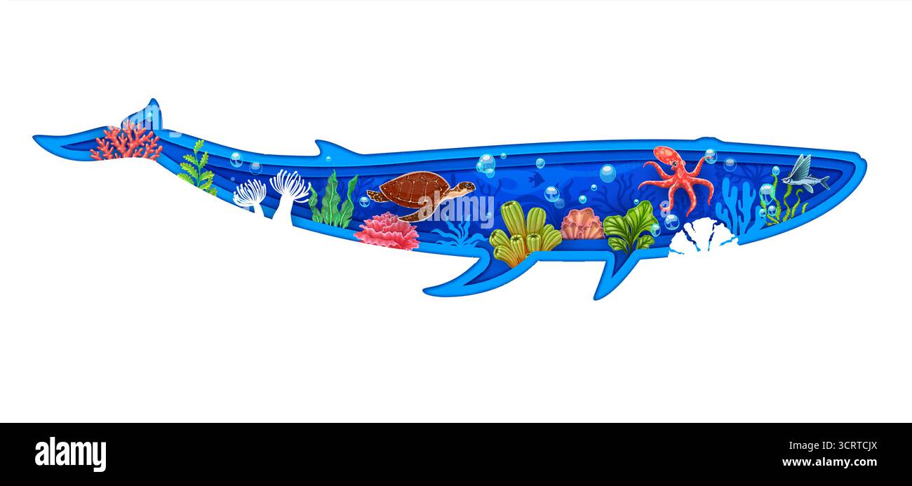 Paper cut whale silhouette with underwater sealife landscape and ...