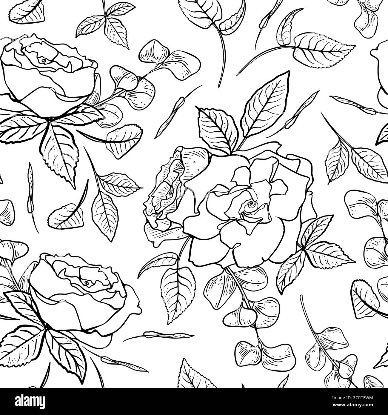 Rose with foliage Black and White Stock Photos & Images - Alamy