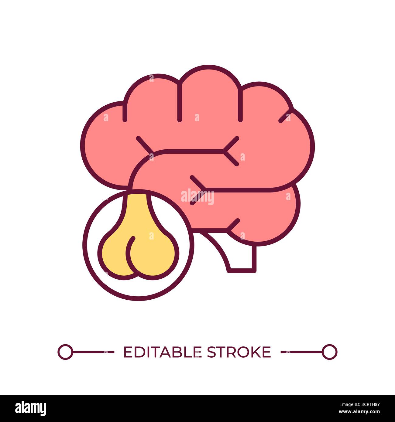 Pituitary system Stock Vector Images - Alamy