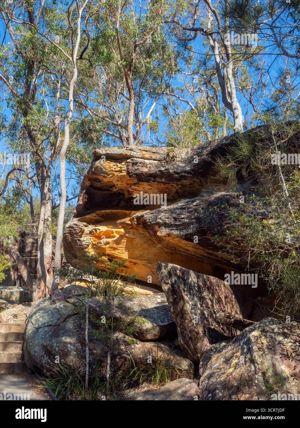 Bobbin head nsw australia hi-res stock photography and images - Alamy
