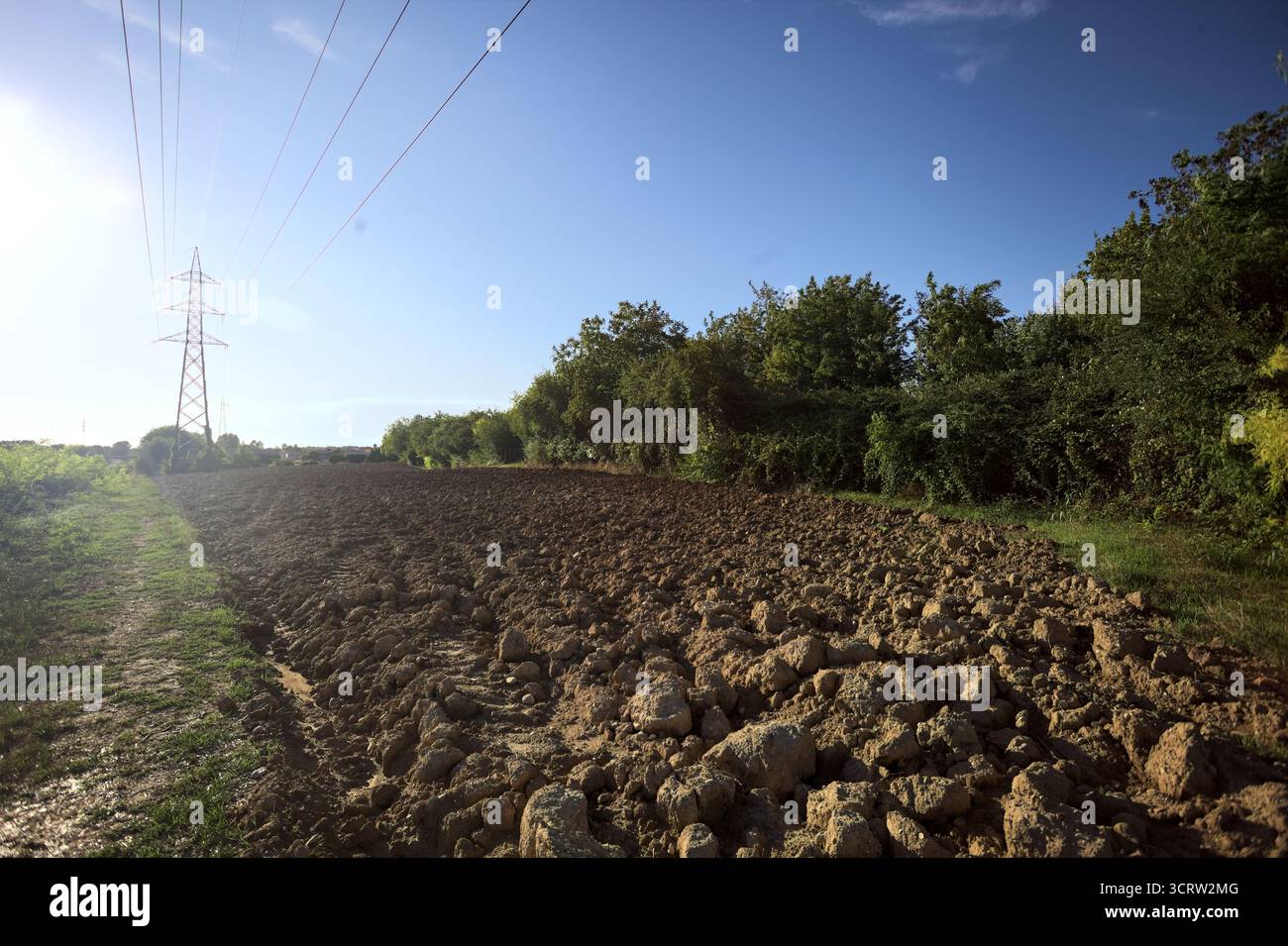 Ploughed field bordered by a grove and a trail with plants and a mast ...