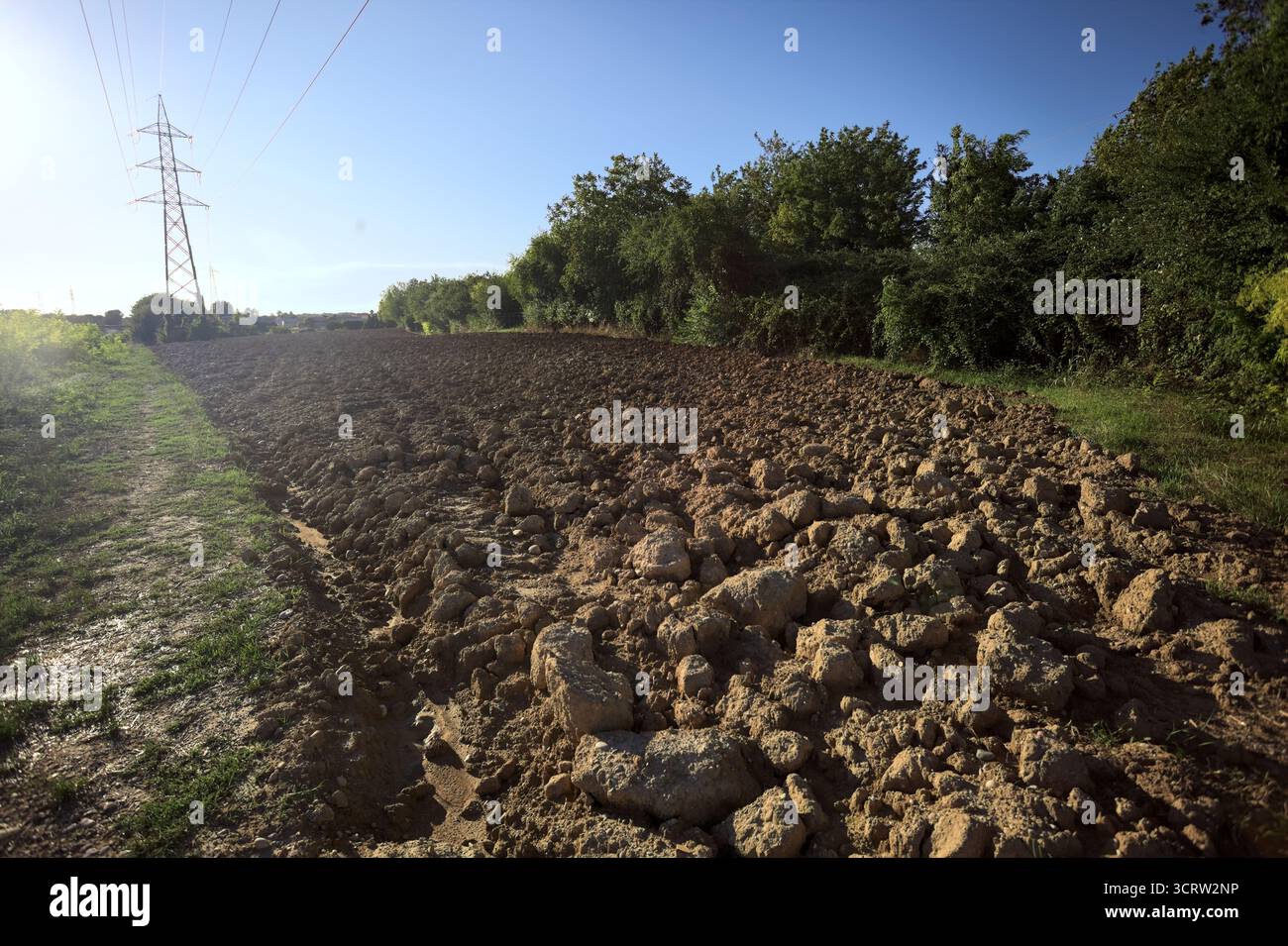 Ploughed field bordered by a grove and a trail with plants and a mast ...