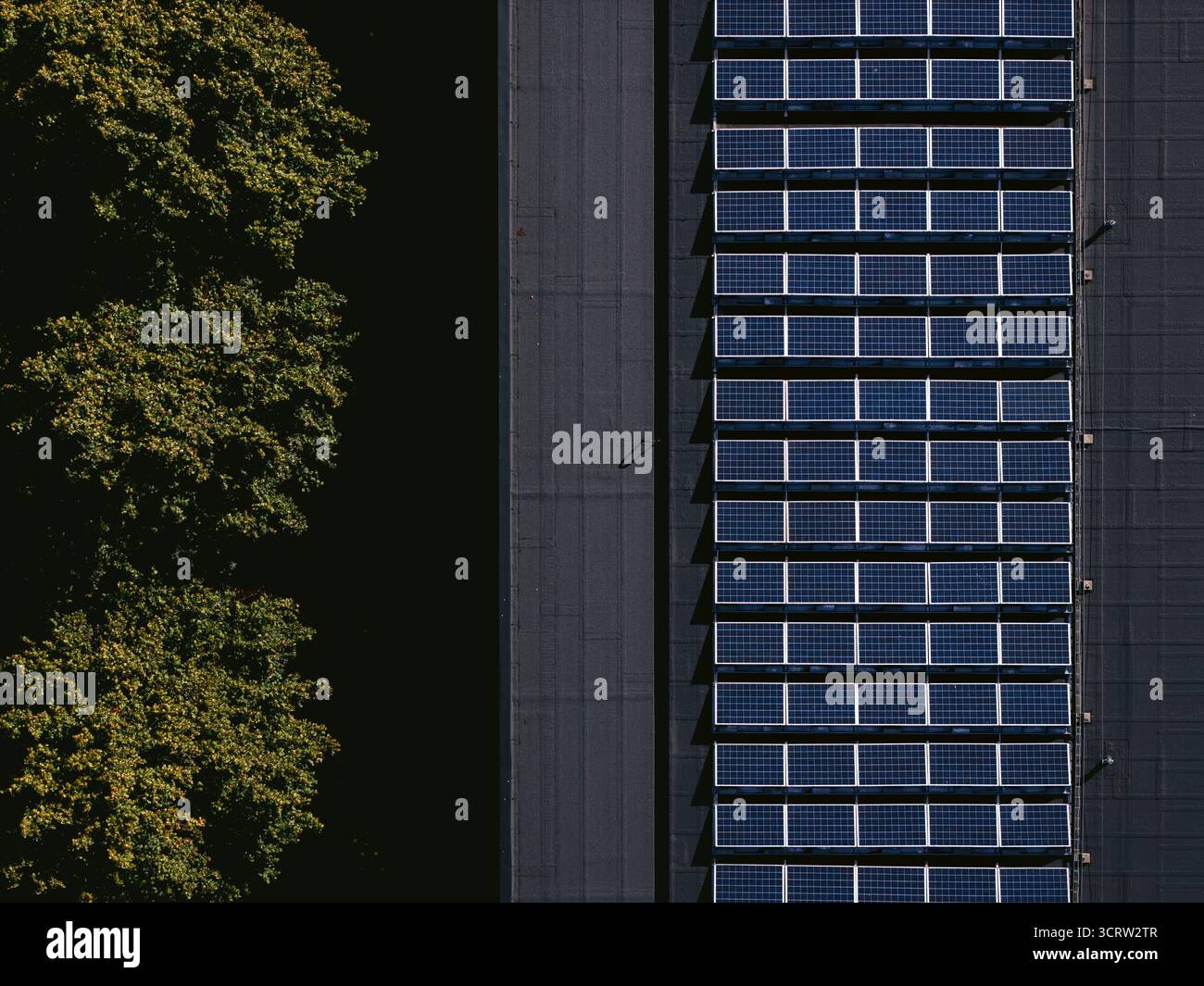 Aerial view of solar panels reflecting the sky alongside lush green ...