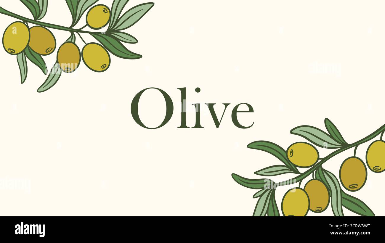 Template with green olive branches. Olive harvest. Horizontal banner ...