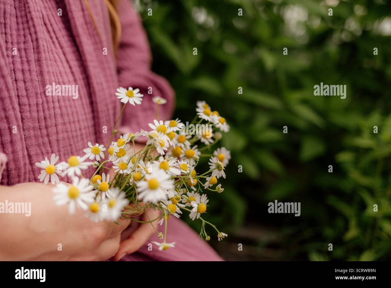 Woman holding chamomile flowers with closed eyes outdoors Stock Photo ...