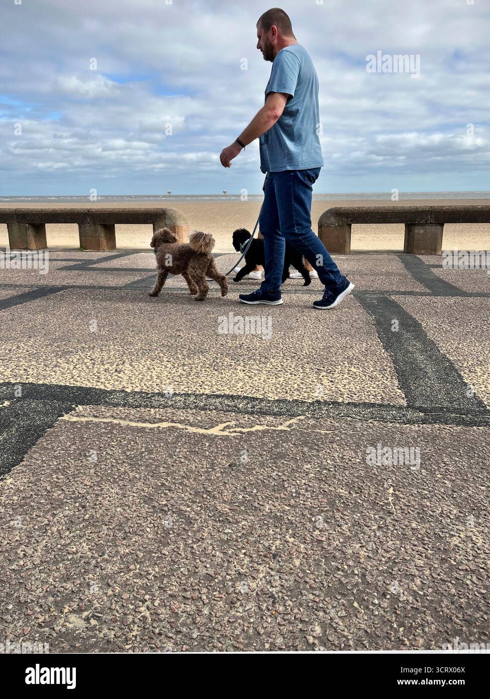 Lone man walking dogs hi-res stock photography and images - Alamy