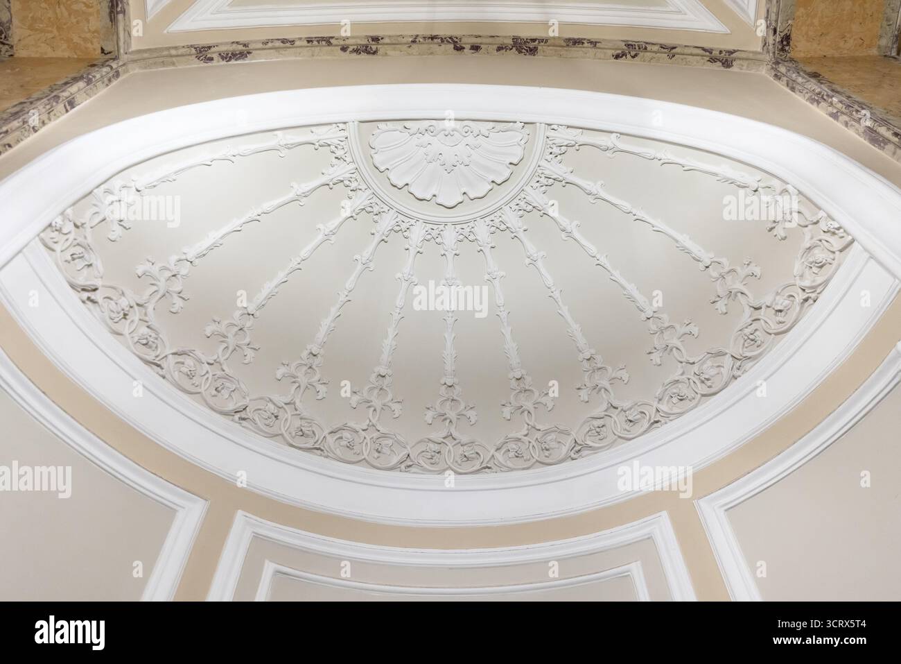 Design room interior showcases hi-res stock photography and images - Alamy