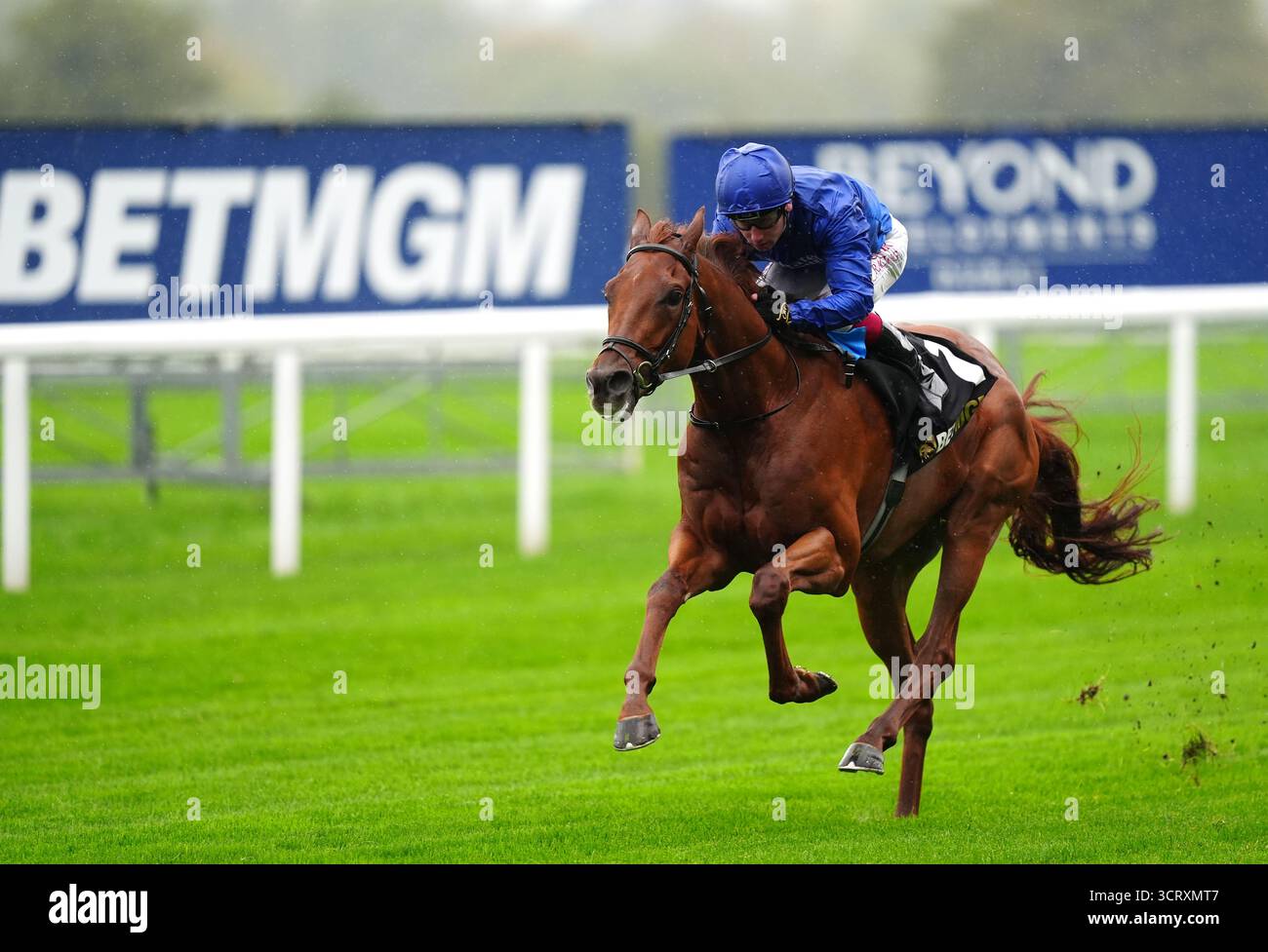 Aegean Prince ridden by Oisin Murphy on their way to winning the BetMGM ...
