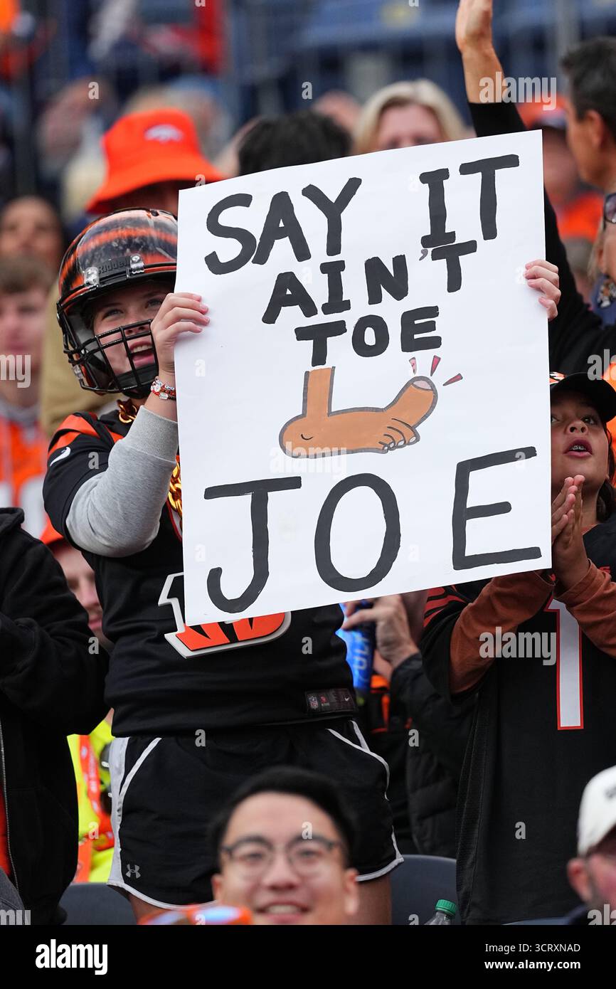Cincinnati Bengals fan cheers during the Cincinnati Bengals v the ...