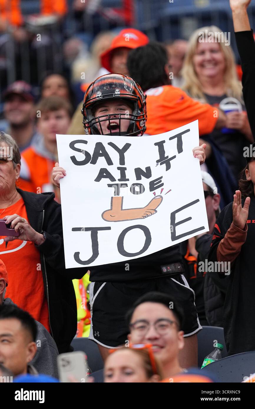 Cincinnati Bengals fan cheers during the Cincinnati Bengals v the ...