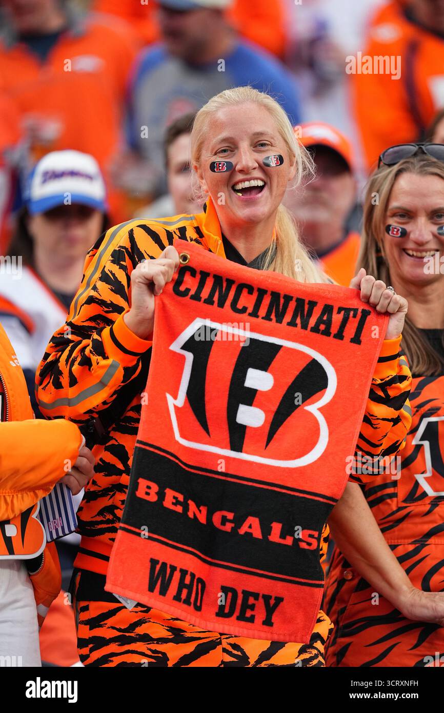 Cincinnati Bengals fan cheers during the Cincinnati Bengals v the ...
