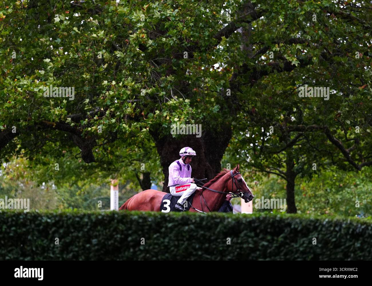 Defiantly ridden by Sean Levey going to post ahead of the BetMGM Noel ...