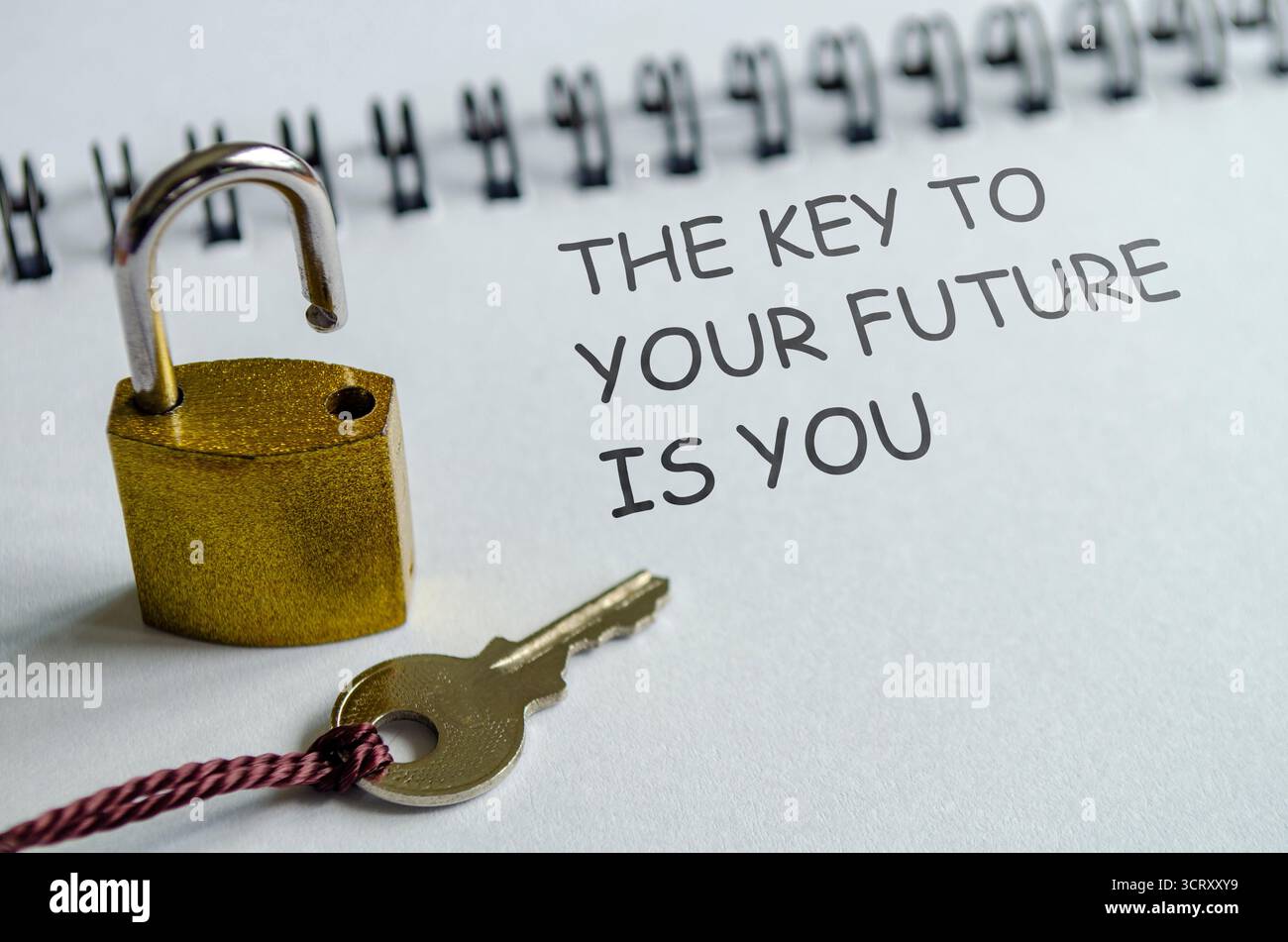 THE KEY TO YOUR FUTURE IS YOU, Motivational notepad with padlock and ...