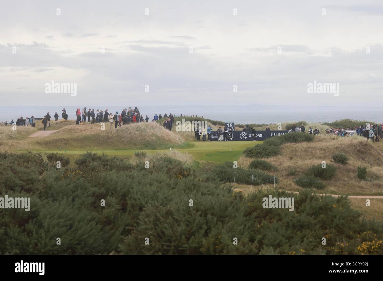 3rd October 2025; Kingsbarns Golf Links, St Andrews, Fife, Scotland ...