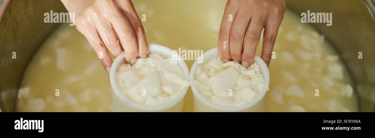 Caucasian Young Woman Shaping Fresh Cheese Curds in Dairy Production ...