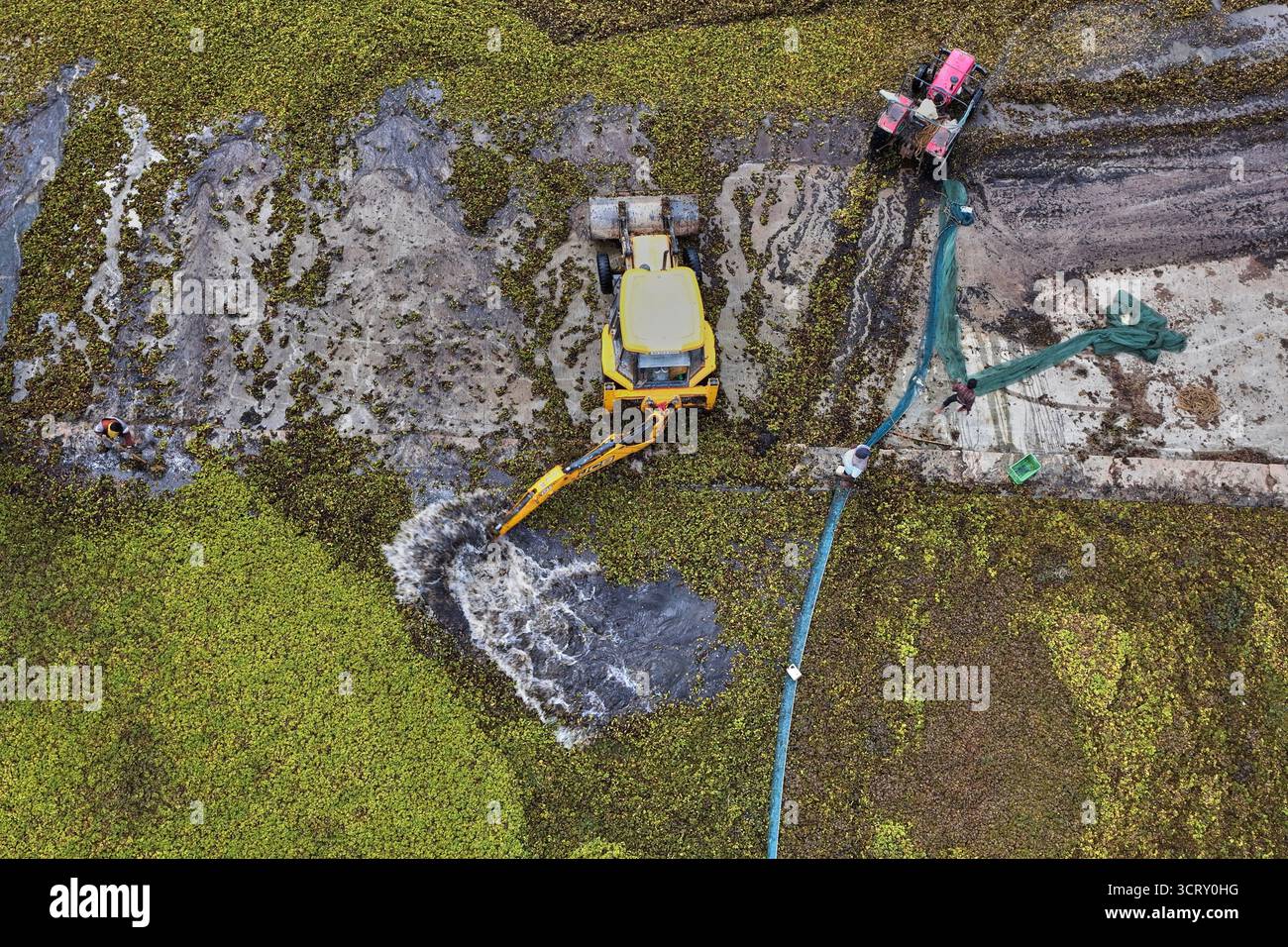 Heavy machinery is used to remove the weeds floating on Doddajala Lake ...