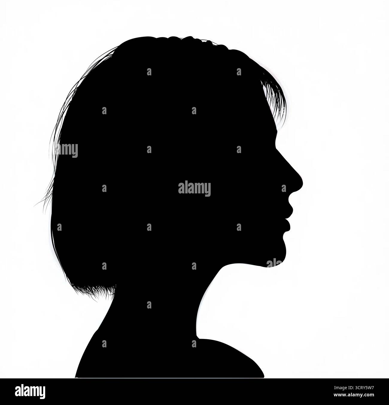 View hair Stock Vector Images - Alamy