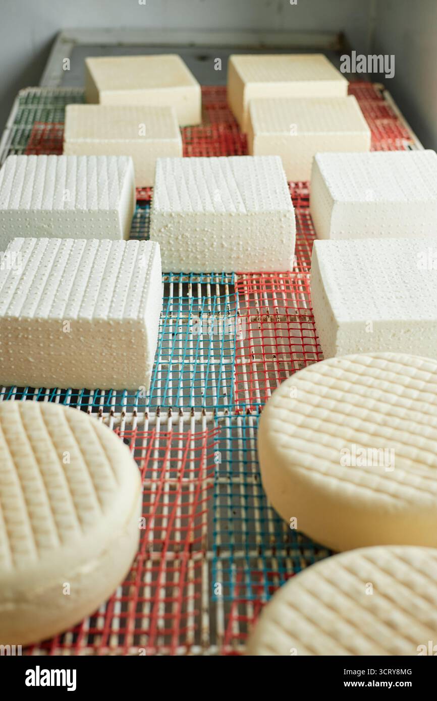 Fresh Cheese Wheels and Blocks Aging on Wire Racks in Dairy Production ...