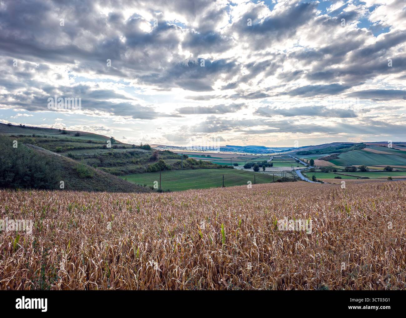 Landscape with road curve in Transylvania, Romania, near Sibiu, fields ...